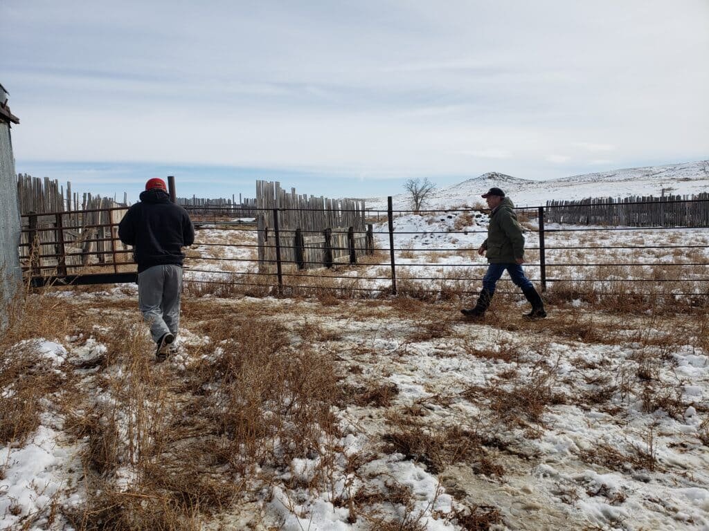 The Best Fencing Options for Your Homestead - Cat's Claw Fasteners