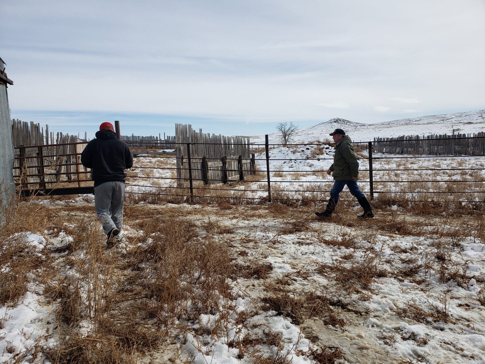 The Best Fencing Options for Your Homestead - Cat's Claw Fasteners